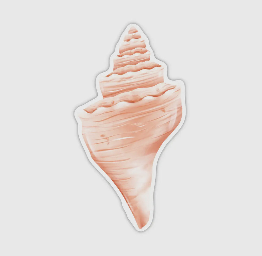 Conch Shell Sticker – Mom's Sweet Shop